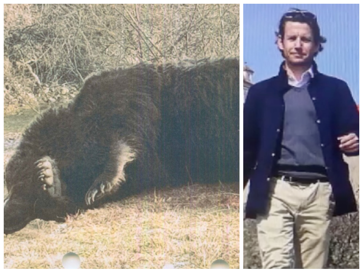 Prințul din Liechtenstein zice că ursul împușcat de el nu a fost ...